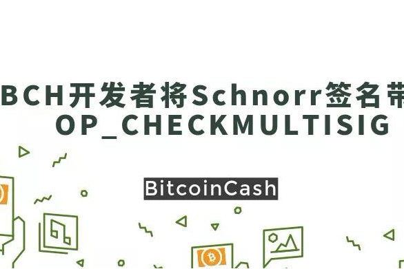 BCH开发者将Schnorr签名带到OP_CHECKMULTISIG - AiCoin