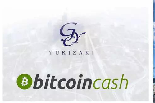 支付体验不断改善，BCH采用迎来爆发式增长 - AiCoin