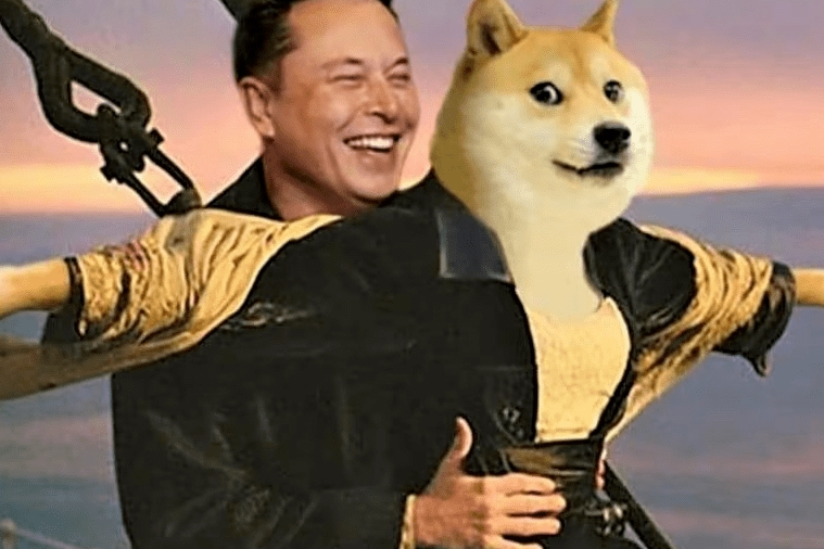 Made 20 million overnight! What's the story behind this $TROLL coin ...