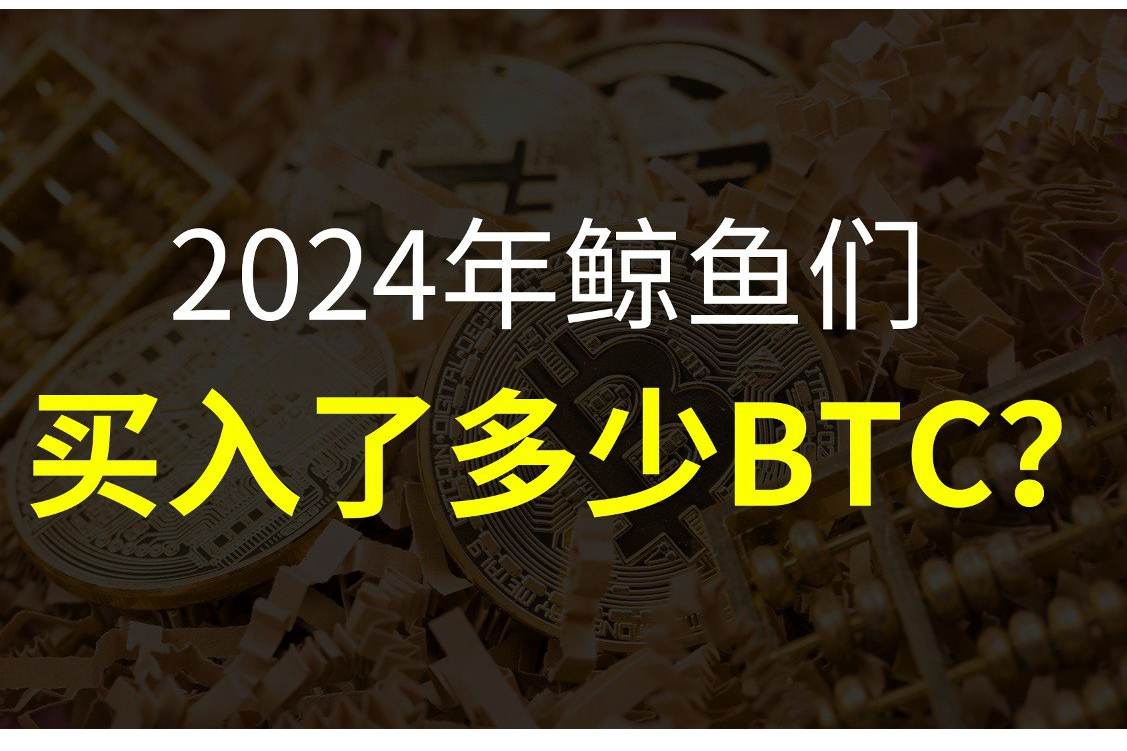 2024 年「鲸鱼」们买入了多少 BTC？ - AiCoin
