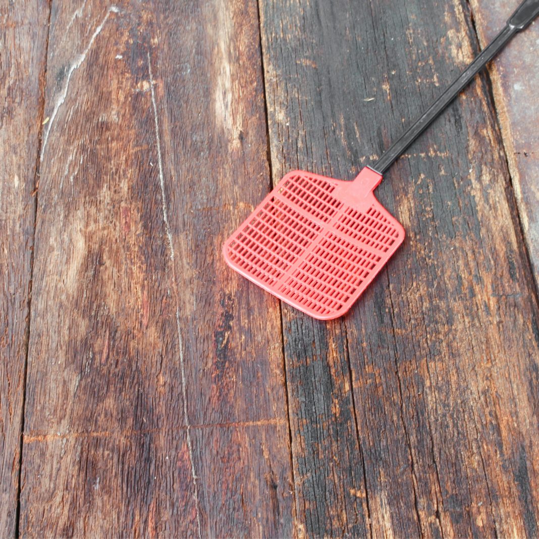 Bitcoin in Brief Thursday: New Tech and a Quick Way to Make a Fortune ...