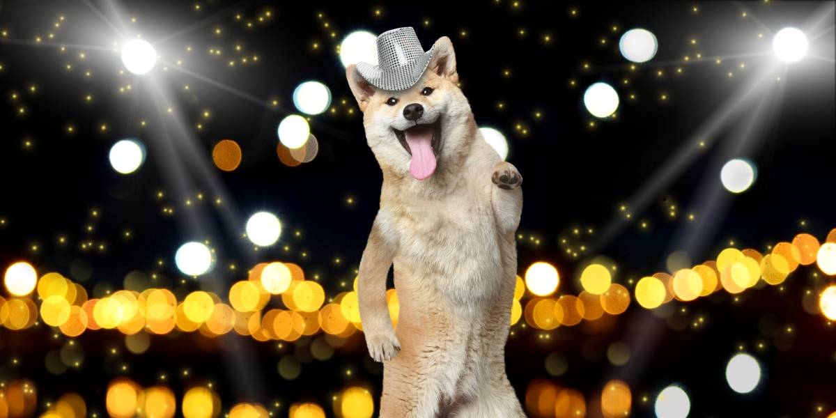 Doge Day Then and Now: Lackluster Buzz as Dogecoin's Price Is 65% Lower ...