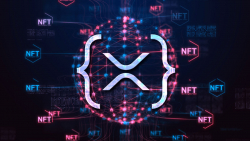 Ripple Welcomes New Wave of NFT Creators to Launch Projects on XRP ...