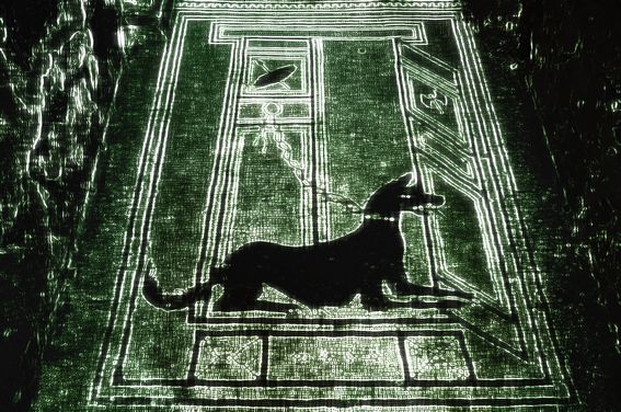 Dogechain Token Price Triples in Seven Days - AiCoin