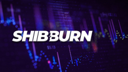 SHIB Burn Rate Shoots up 1,064% After These New Milestones - AiCoin
