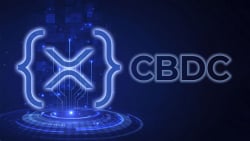 Ripple Works on Private XRP Ledger for CBDC, Says Ex-Executive - AICoin