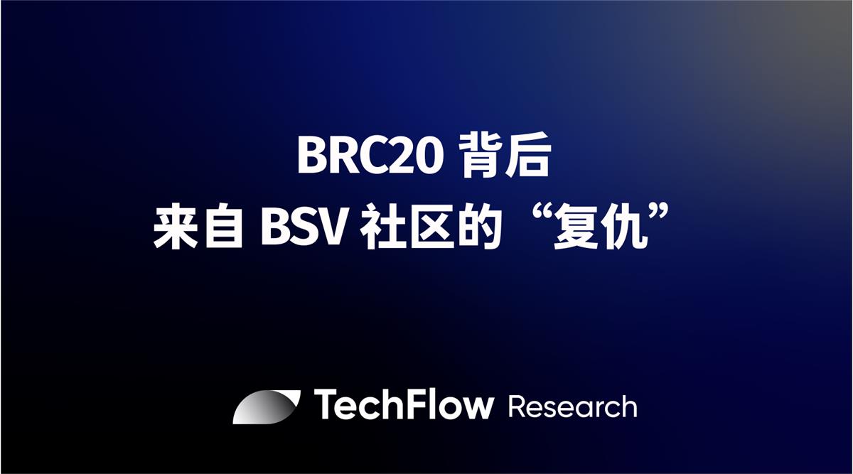 BRC-20应用竟是BSV社区的“特洛伊木马”？ - AICoin