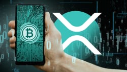 XRP Just Beat Bitcoin (BTC), Here's How - AiCoin