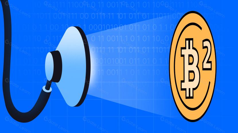以B² Network为例，探讨BTC Layer2为何需要“模块化” - AiCoin