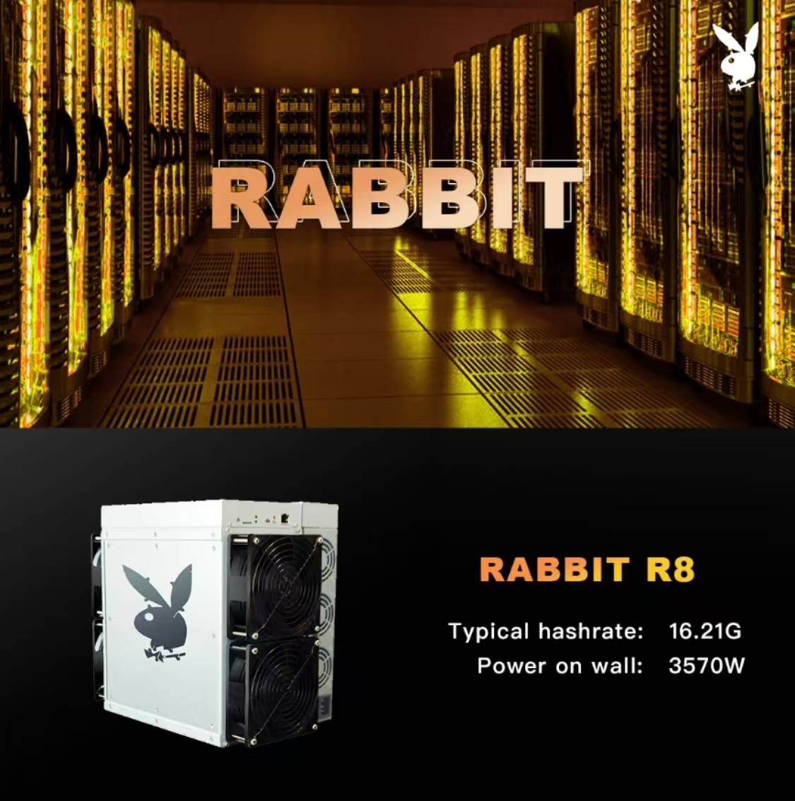 Rabbit will release the 5nm Dogecoin miner R8 in 2025, and the R8 will ...
